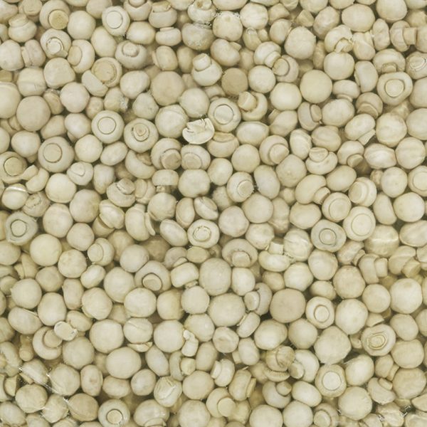 FLM Preserved Archieven - FLM Food Group